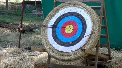 Target for archery shooting. Arrow hitti... | Stock Video | Pond5