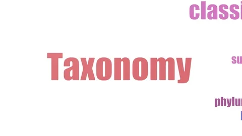 Taxonomy Tag Cloud Animated Isolated On ... | Stock Video | Pond5