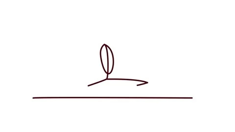 Teapot Line Drawing Stock Videos – Royalty-Free HD & 4K Videos | Pond5