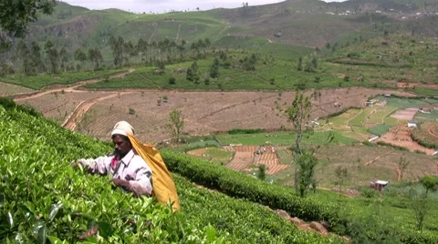 Picter Of M Stock Video Footage | Royalty Free Picter Of M Videos | Pond5