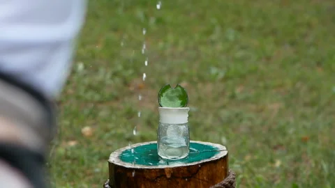 Rust Team Game Stock Videos – Royalty-Free HD & 4K Videos