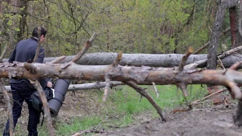Team orienteering in the forest. Teamwor... | Stock Video | Pond5