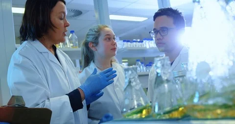 Team of scientists interacting with each... | Stock Video | Pond5