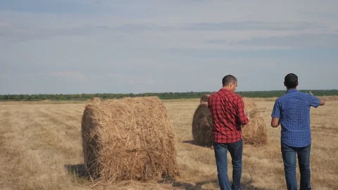 teamwork agriculture smart farming conce... | Stock Video | Pond5