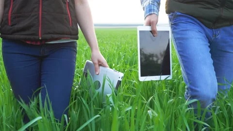 teamwork. agriculture smart farming tech... | Stock Video | Pond5