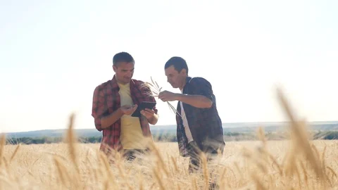 teamwork smart farming. two farmers work... | Stock Video | Pond5