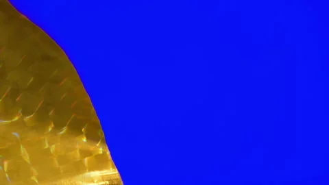 Alpha Paper Tear Stock Videos – Royalty-Free HD & 4K Videos | Pond5