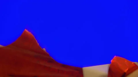 Alpha Paper Tear Stock Videos – Royalty-Free HD & 4K Videos | Pond5