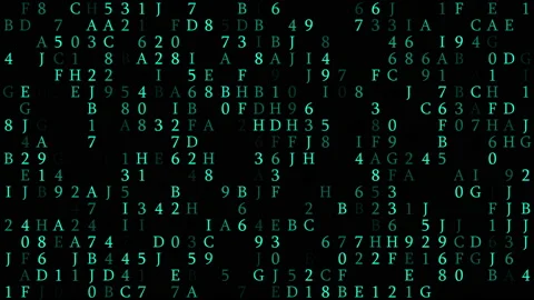 Hex Code and Binary Code Stock Video Footage | Royalty Free Hex Code and Binary Code Videos | Pond5