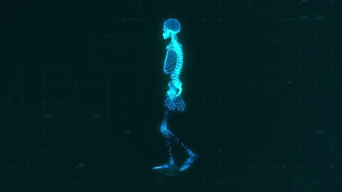 Skeleton Walking Stock Footage ~ Royalty Free Stock Videos | Pond5