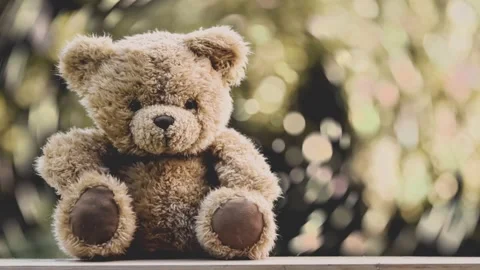 Teddy Bear with Bokeh Effect in the Back... | Stock Video | Pond5