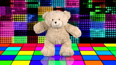Dancing Bear Parties Stock Videos – Royalty-Free HD & 4K Videos