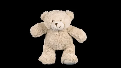 Dancing Bear Parties Stock Videos – Royalty-Free HD & 4K Videos