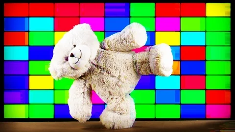 Dancing Bear Parties Stock Videos – Royalty-Free HD & 4K Videos
