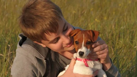 teen boy petting small puppy park. child... | Stock Video | Pond5