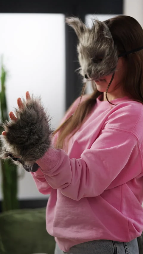 Fox Girl Get Stock Videos – Royalty-Free HD & 4K Videos