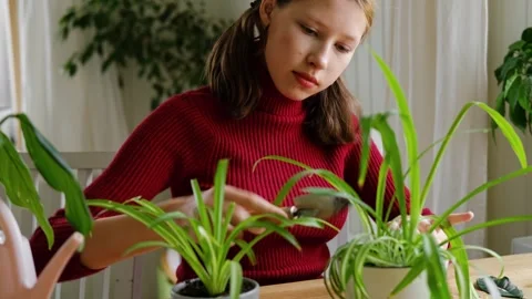 Teen Girl watering plants. Teenager fema... | Stock Video | Pond5
