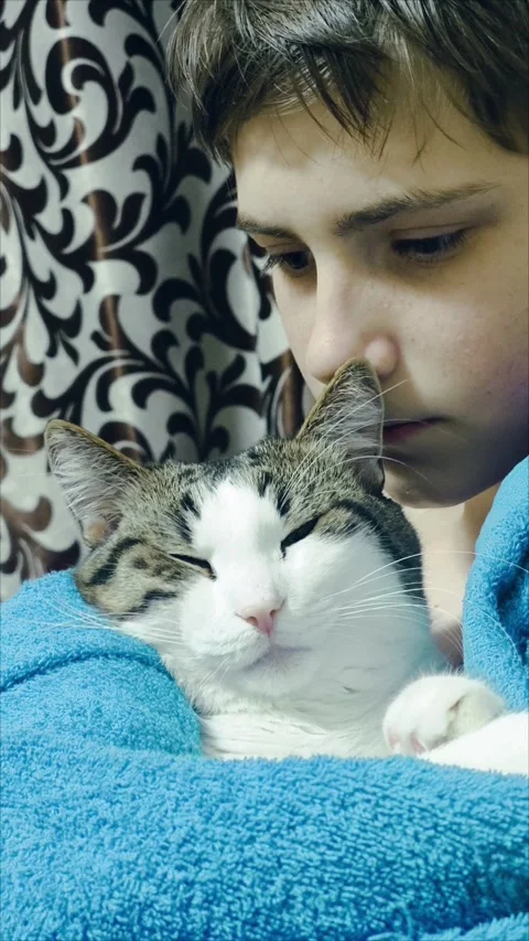 Friend Cat Stock Videos – Royalty-Free HD & 4K Videos