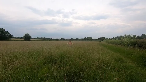 Shirtless Teenage Boy Stock Videos – Royalty-Free HD & 4K Videos | Pond5