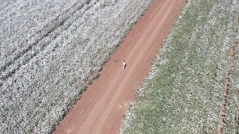 Puff Running Stock Footage ~ Royalty Free Stock Videos | Pond5