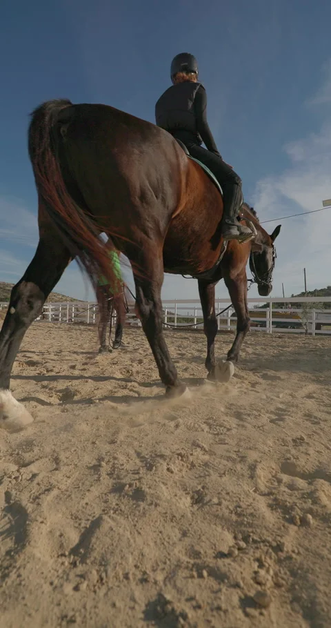 Girl Ride Horse Stock Videos – Royalty-Free HD & 4K Videos