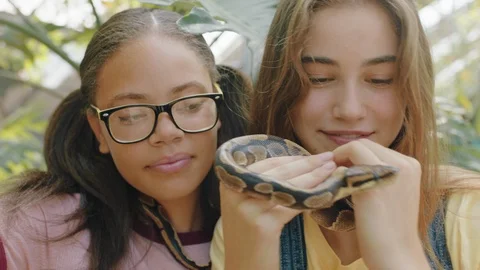 Sname Girls Photo Stock Videos – Royalty-Free HD & 4K Videos