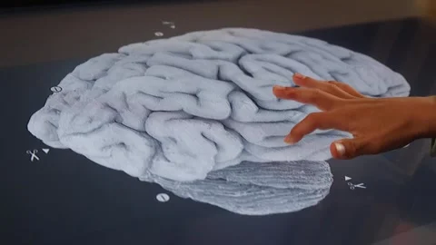 Digital Brain Image Stock Videos – Royalty-Free HD & 4K Videos