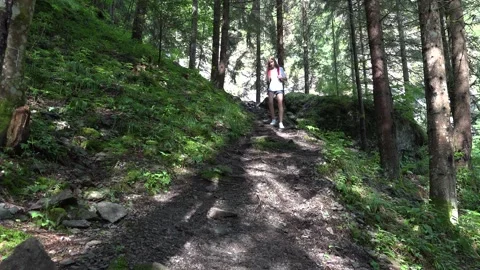 Teen Climbing Camps Stock Videos – Royalty-Free HD & 4K Videos