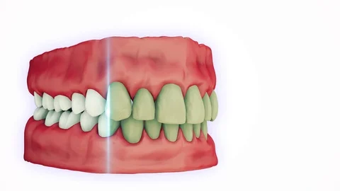 Teeth Animation Stock Video Footage | Royalty Free Teeth Animation ...