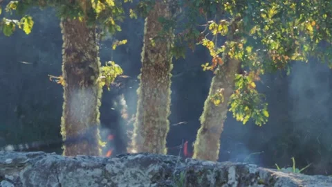 Telephoto view of open-air pottery kiln,... | Stock Video | Pond5
