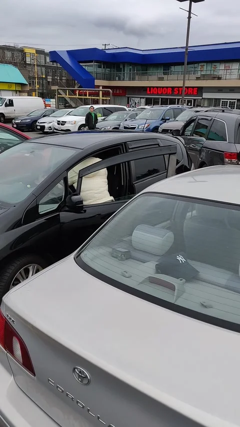 My First Spot Stock Videos – Royalty-Free HD & 4K Videos