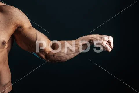 Arm Veins Bodybuilding