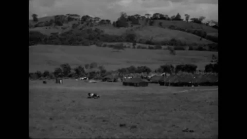 Fox Thest Stock Videos – Royalty-Free HD & 4K Videos | Pond5