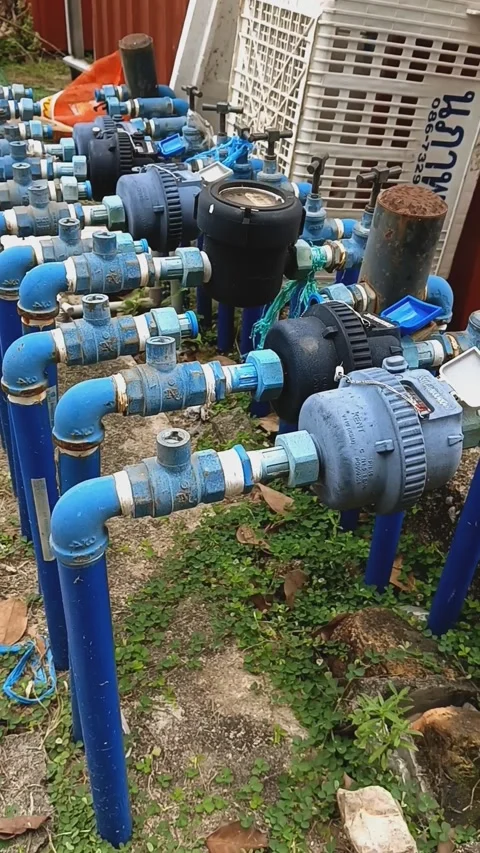 November 2025 Commmercials Stock Videos – Royalty-Free HD & 4K Videos ...