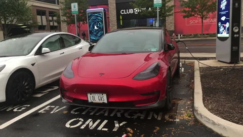 Custom Car Plate Stock Videos – Royalty-Free HD & 4K Videos | Pond5