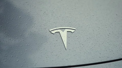 Tesla logo close up in soft light with r... | Stock Video | Pond5