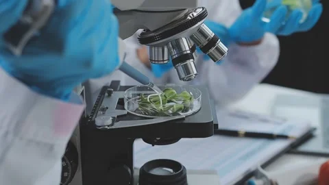 testing a plant sample in a biochemical ... | Stock Video | Pond5