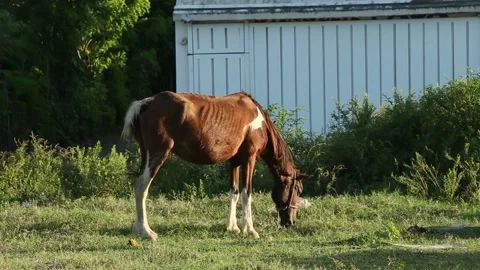 Gether Strong Stock Videos – Royalty-Free HD & 4K Videos | Pond5