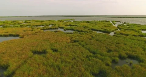 Marshland Stock Videos – Royalty-Free HD & 4K Videos | Pond5