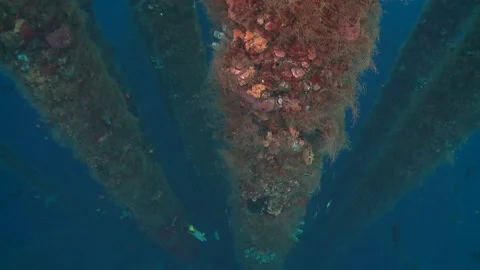 Texas oil rig legs underwater in Gulf of... | Stock Video | Pond5