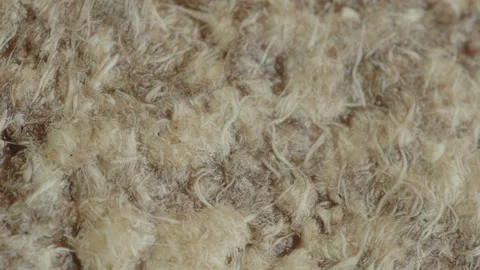 Texture of halva with chocolate 4K slidi... | Stock Video | Pond5