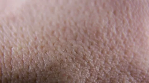 Texture Human Skin Stock Footage ~ Royalty Free Stock Videos | Pond5