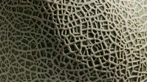 Melon Texture Stock Footage ~ Royalty Free Stock Videos | Pond5