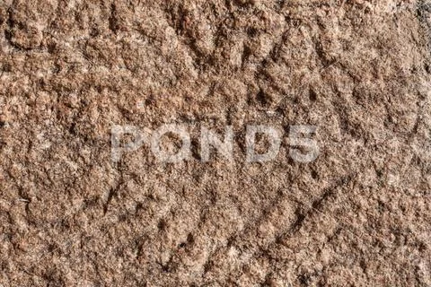 Photograph: Texture of sand stone Texture of ancient sand stone at ...