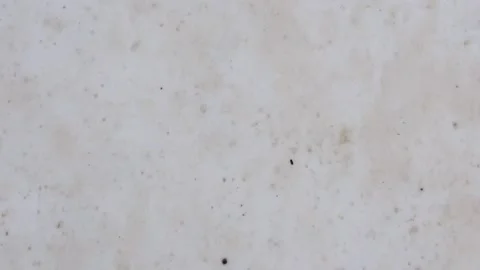 Snowy Sidewalk Stock Video Footage | Royalty Free Snowy Sidewalk Videos ...