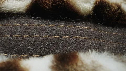 Texture of spotted fur of wild animals. ... | Stock Video | Pond5