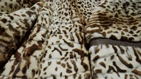Texture of spotted fur of wild animals. ... | Stock Video | Pond5