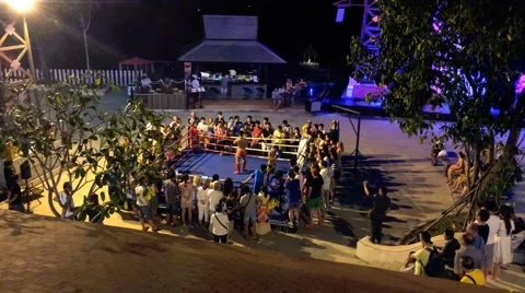 Boxing Match Stock Videos – Royalty-Free HD & 4K Videos | Page 5