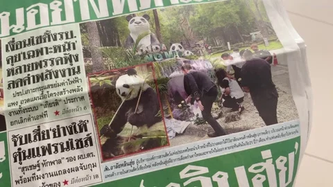 Thairath newspaper front page Chiang Mai... | Stock Video | Pond5