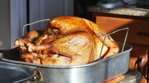 Holiday Dinner Stock Video Footage | Royalty Free Holiday Dinner Videos ...